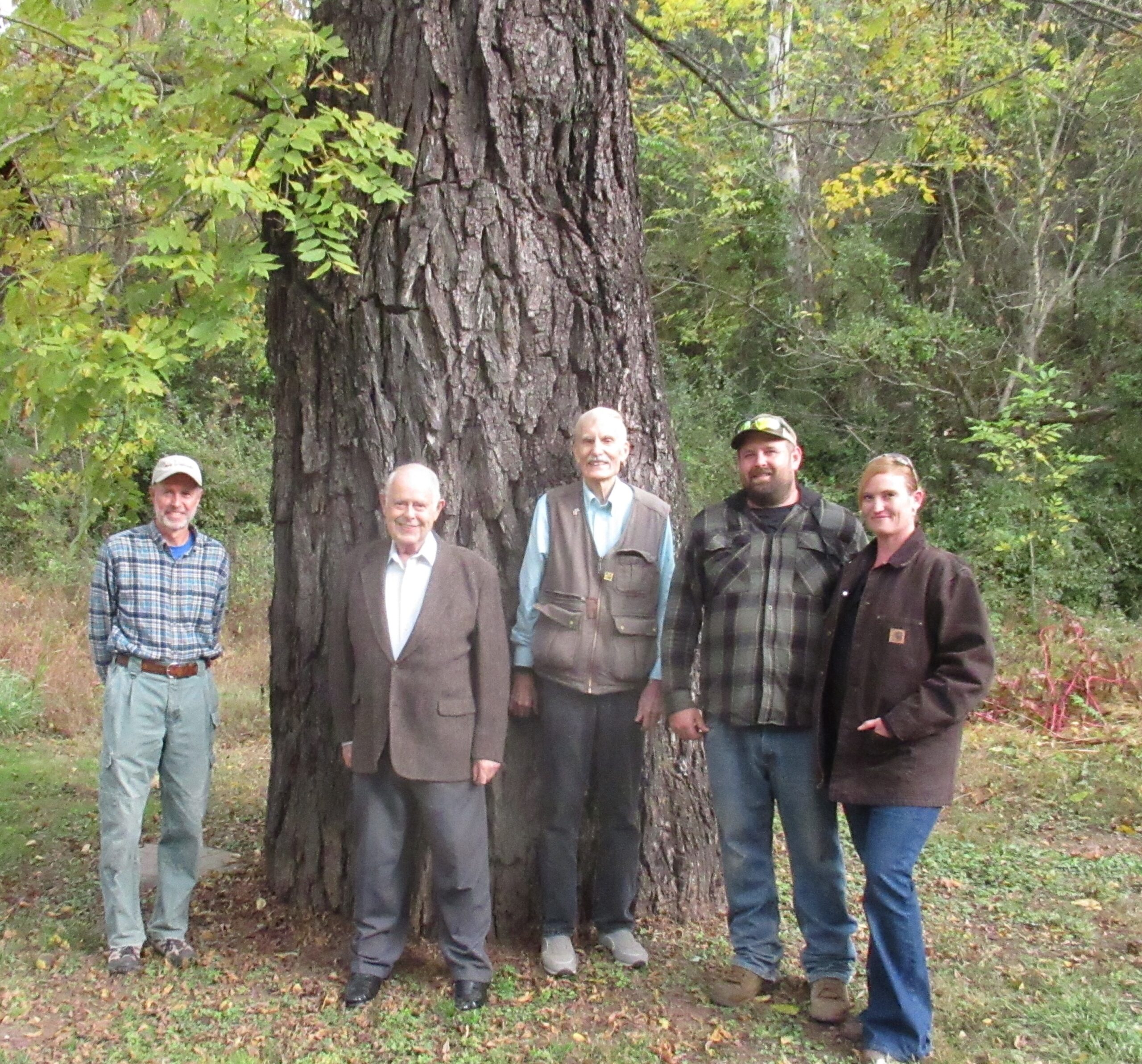 Hedgesville family wins 15th annual Big Tree Contest with massive Black ...