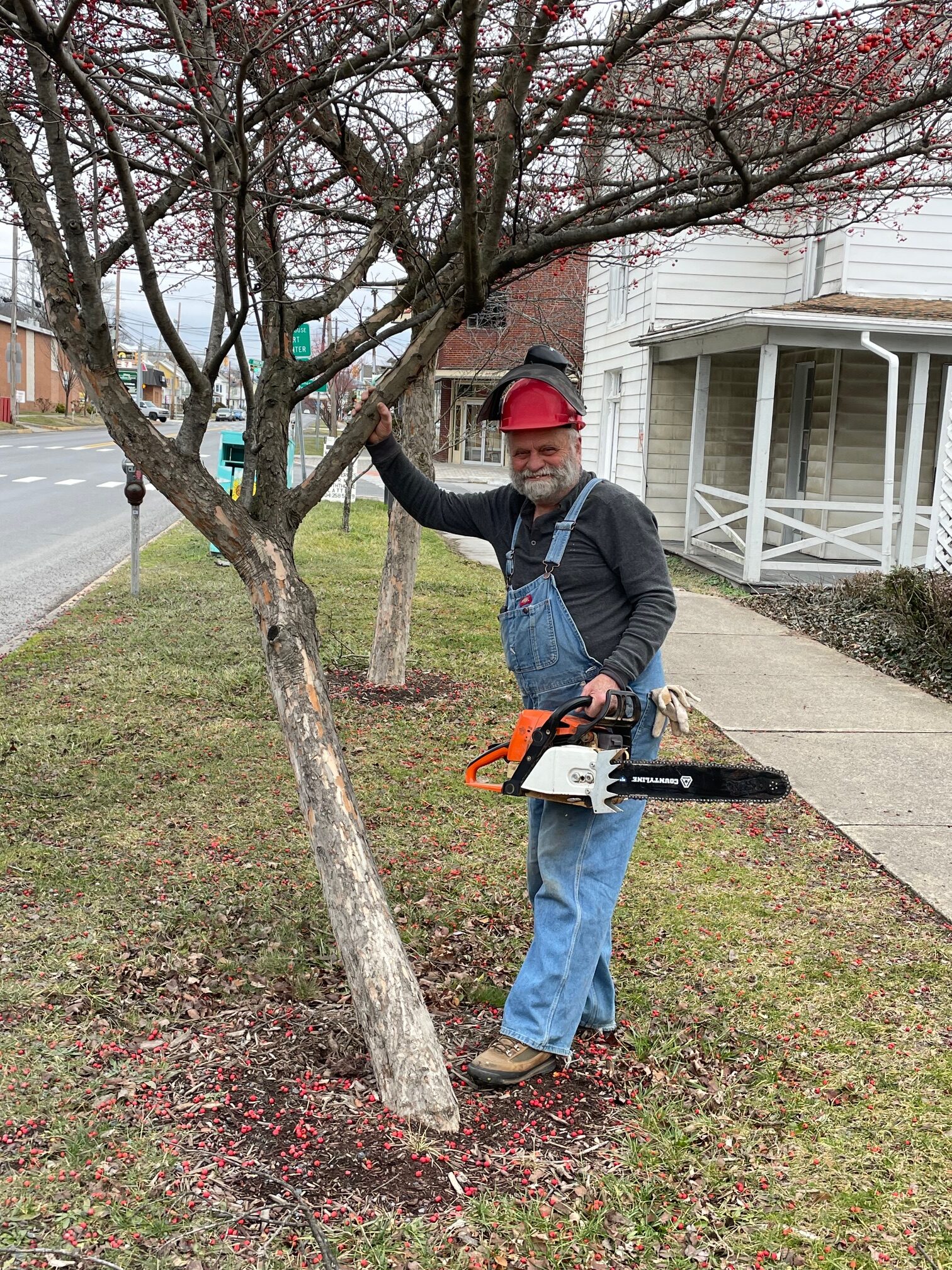 Downtown trees removed, Tree Board to approve work plan - Morgan Messenger