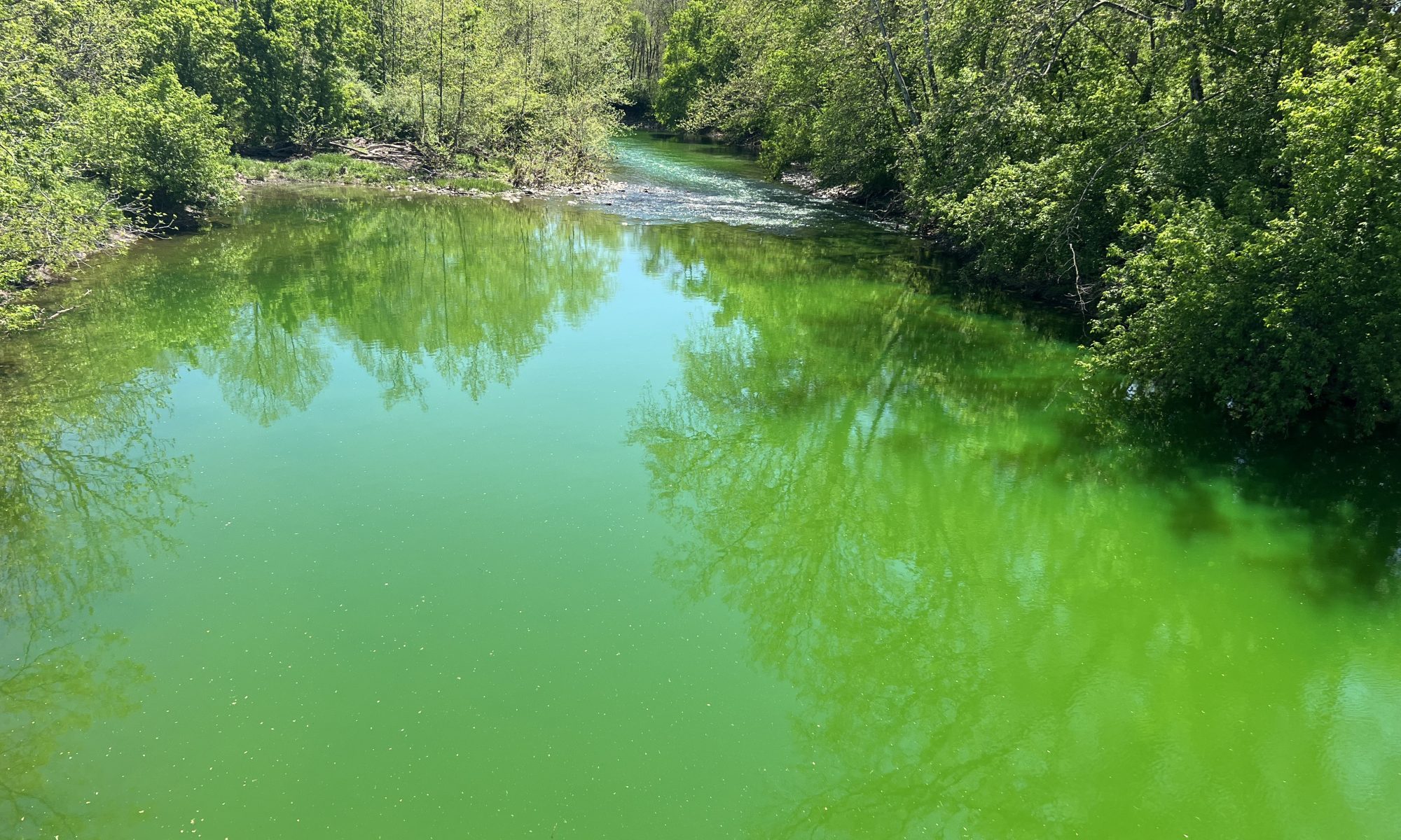 Water experts use dye to find connection between Lost River & the ...