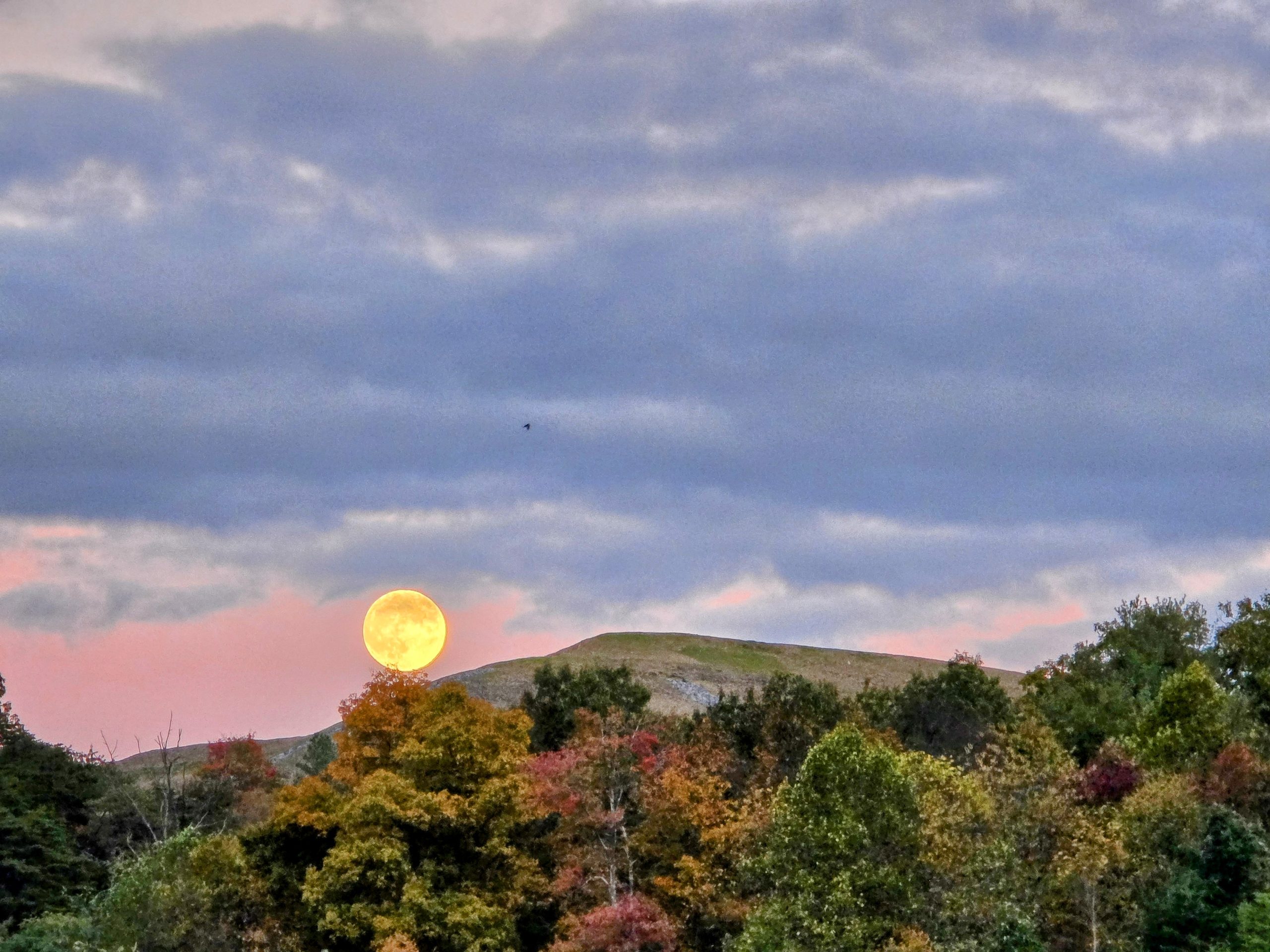 Full moon rising - Morgan Messenger