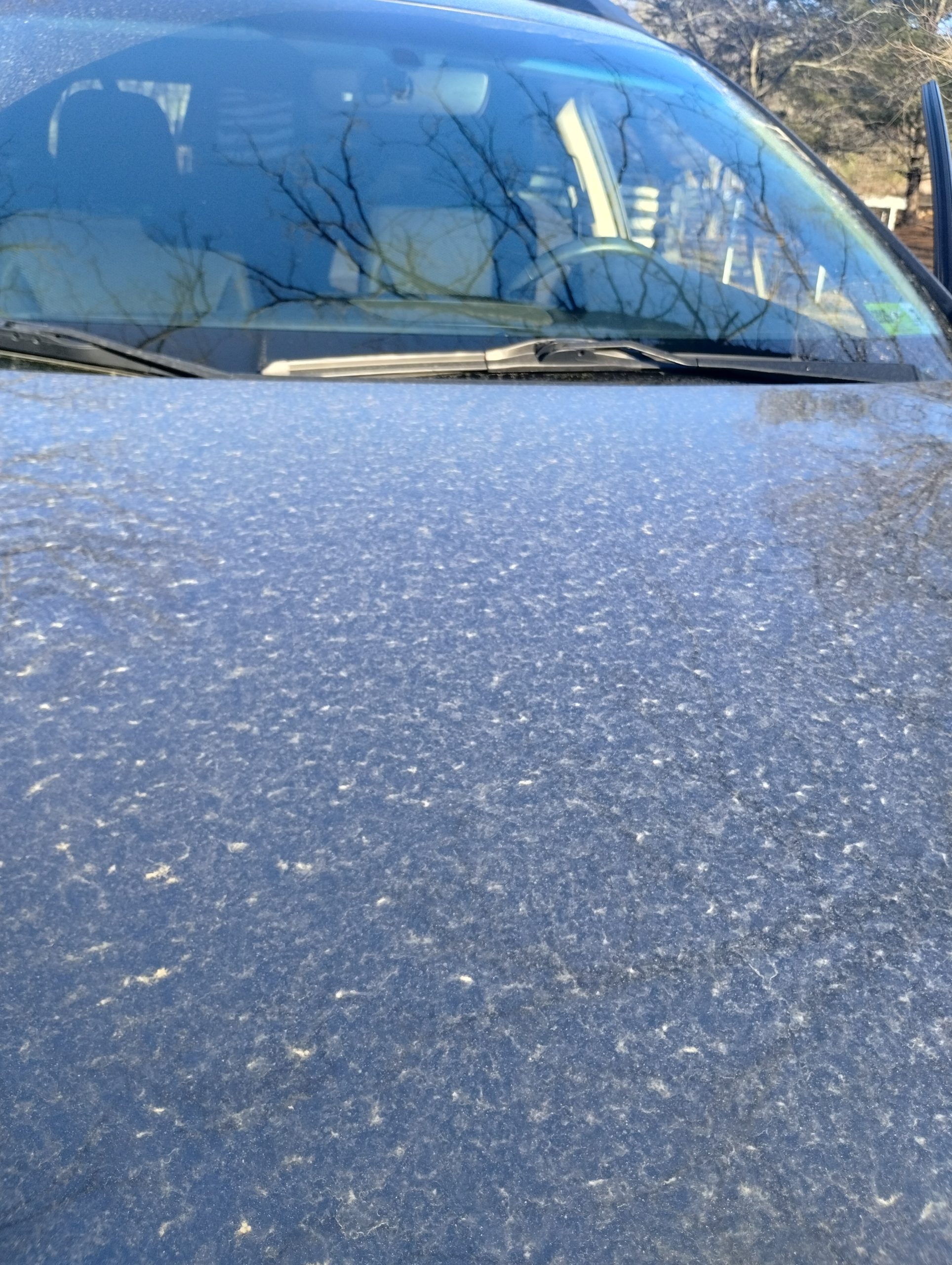 Mud rain hits area (and our cars) - Morgan Messenger