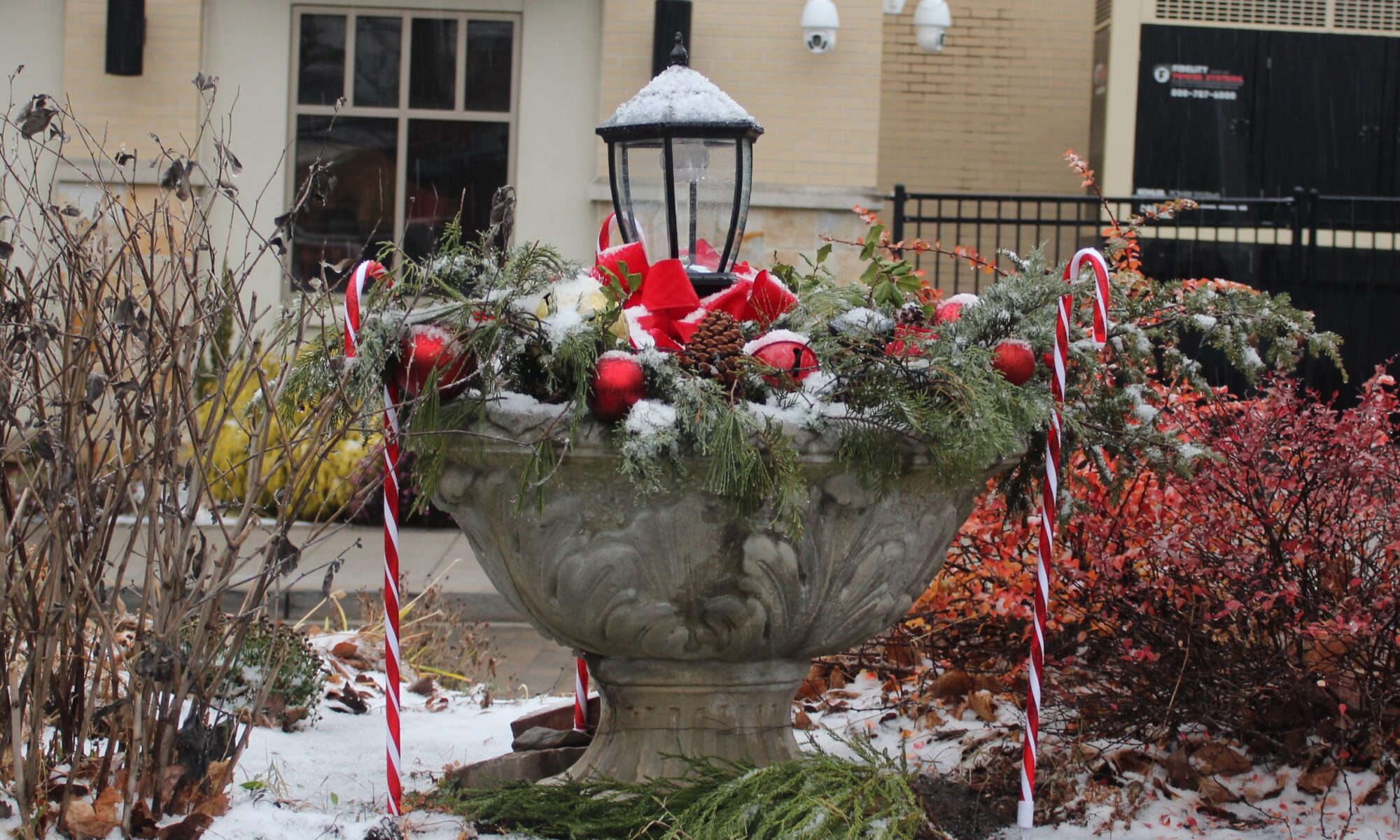 Hello snow! - Morgan Messenger